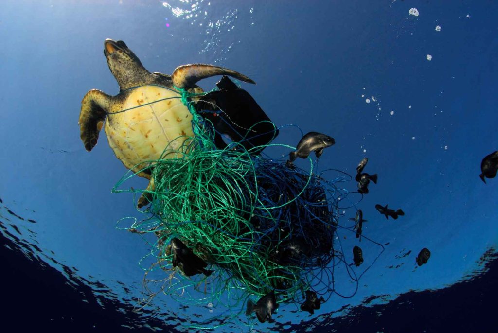 Un océano con más plástico que peces - Revista Vive