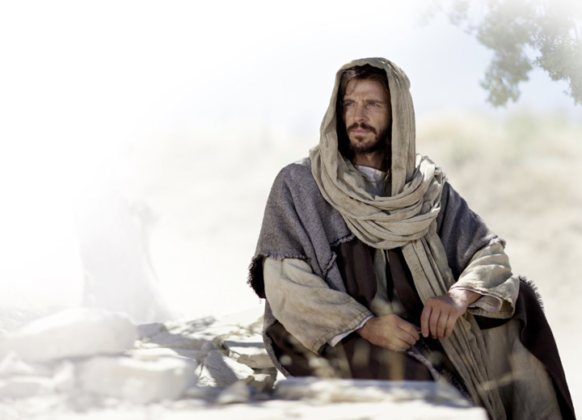 ¿Por qué Jesús es el Cordero de Dios? - Revista Vive